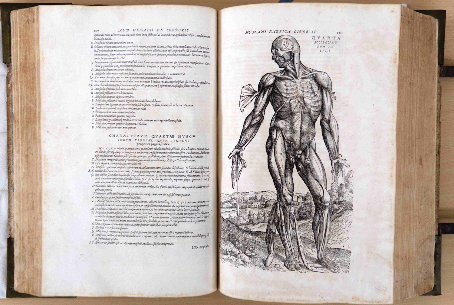De Humani Corporis Fabrica, le chef d’œuvre d’André Vésale (1514-1564 ...